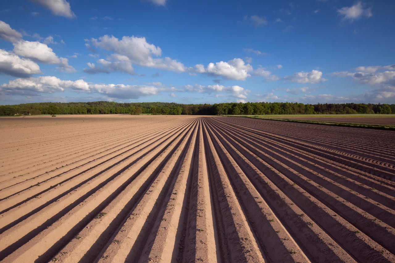 Koniec OPR-ów. Ziemia po dużych dzierżawach trafi do spółek Skarbu ...